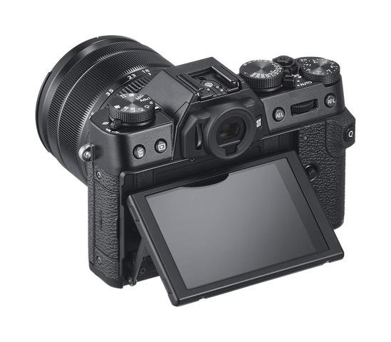 15 Best Mirrorless Cameras of 2026 (Our Top Picks) - Best Wildlife Cameras