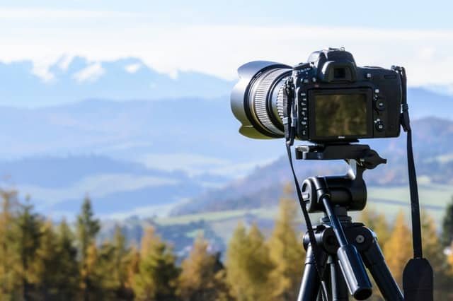 7 Best Full-frame Cameras of 2025 ( Buyer's Guide ) - BestWildlifeCameras
