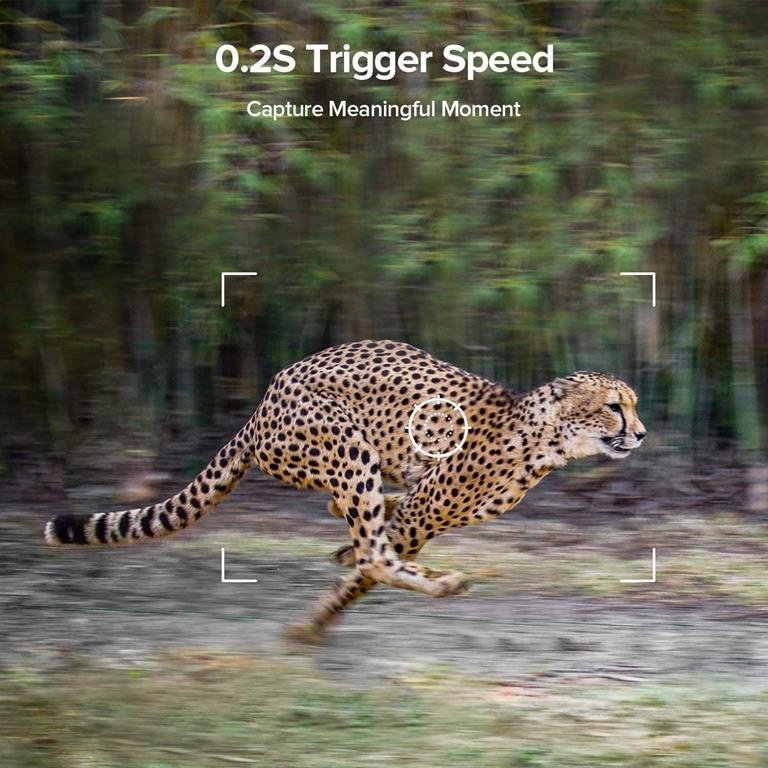 Top 5 Best Motion-Activated Wildlife Cameras of 2026 ( Fail-proof ...