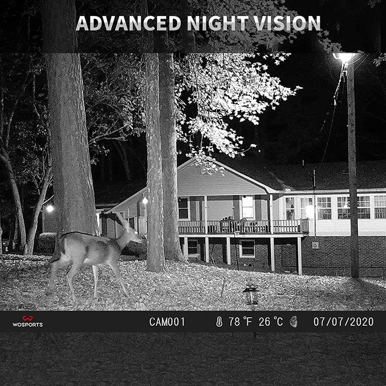 Top 5 Best Motion-Activated Wildlife Cameras of 2026 ( Fail-proof ...