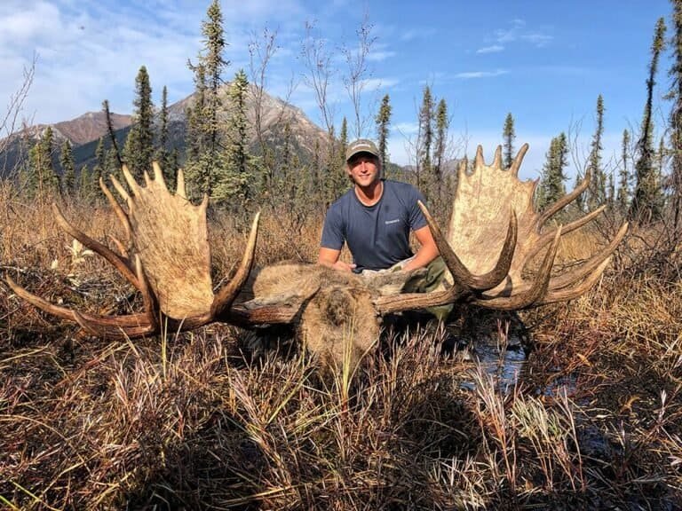 Alaskan Moose Hunt Cost: Uncovering the Secrets of Affordability - Best ...