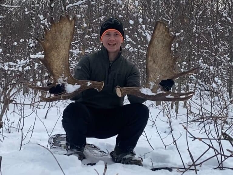 Can a Moose Shed Its Antlers? The Fascinating Truth Revealed - Best ...