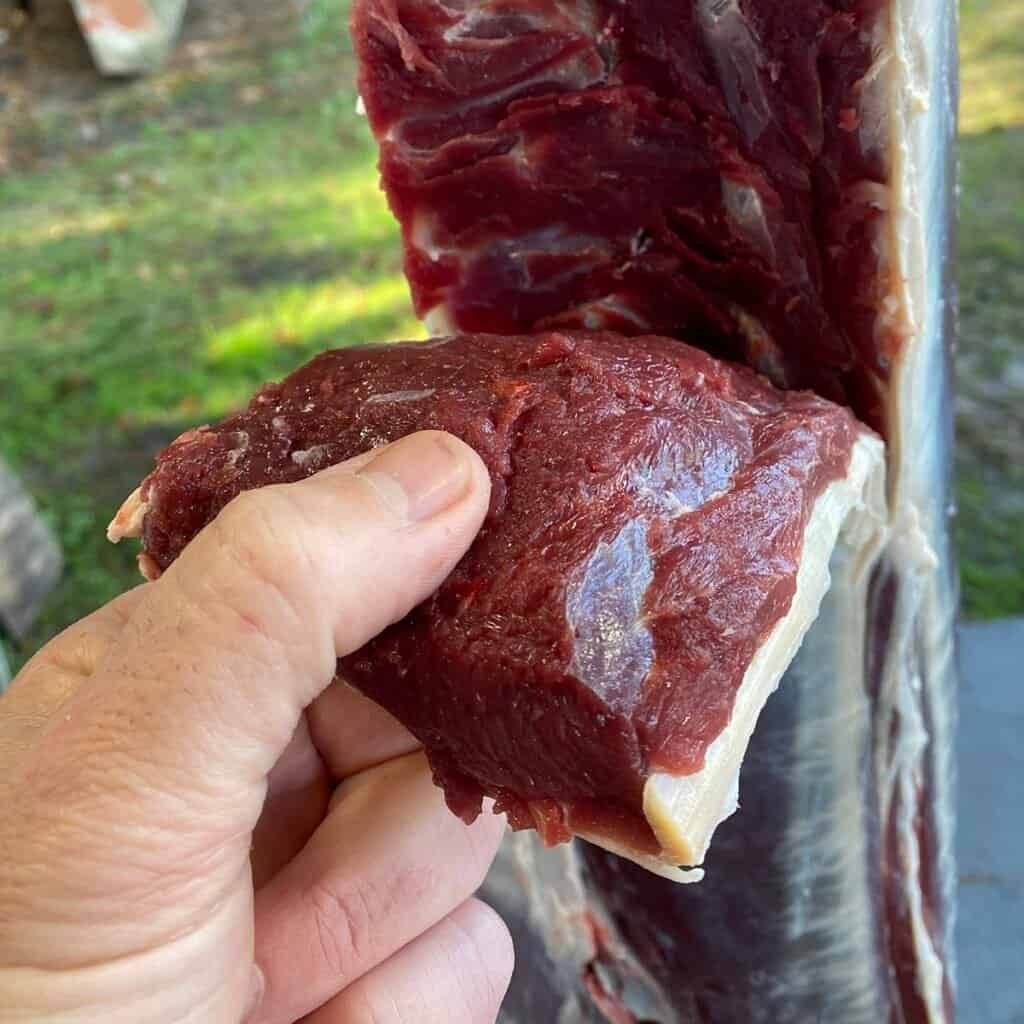 Can You Eat Raw Deer Meat? Risks & Culinary Tips - Best Wildlife Cameras
