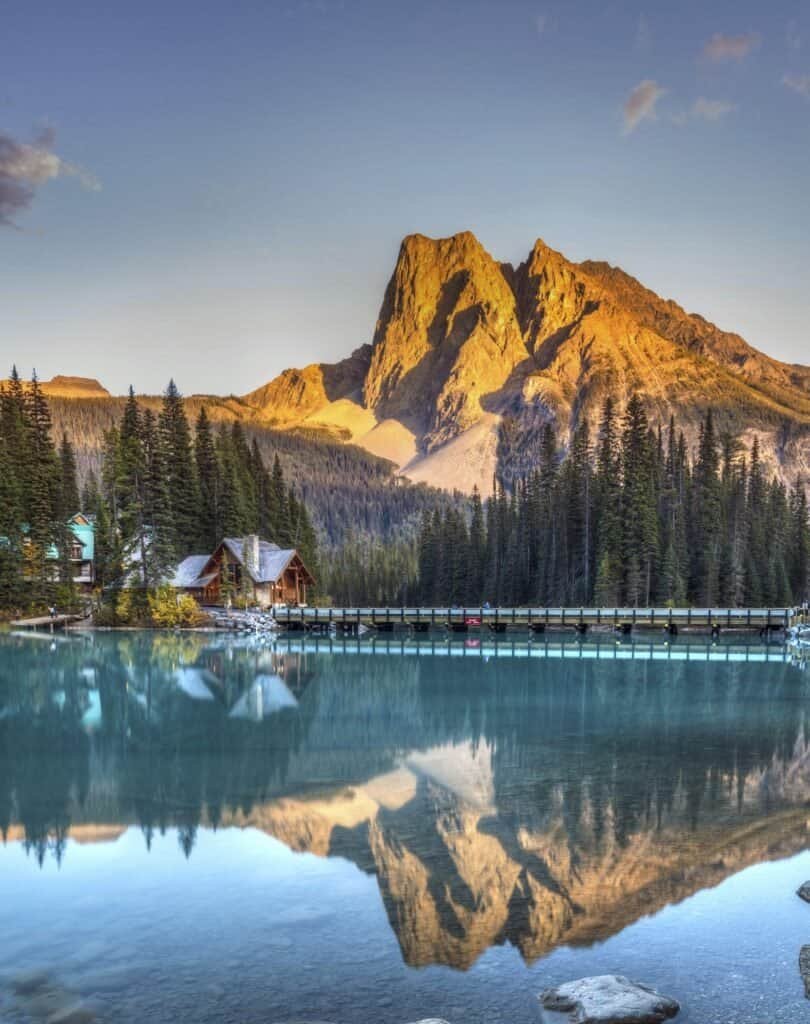 Uncovering the Fascinating Similarities Between Canadian Moose and ...