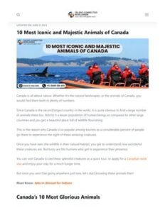 Canadian Moose Facts: Discover the Fascinating World of these Majestic ...