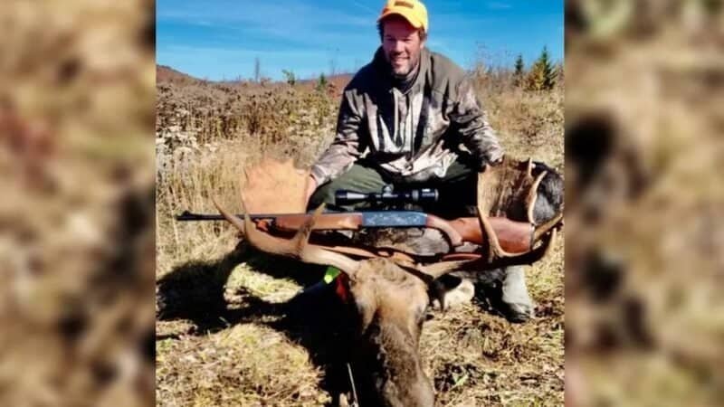Moose With Brain Worm : A Shocking Encounter - Best Wildlife Cameras
