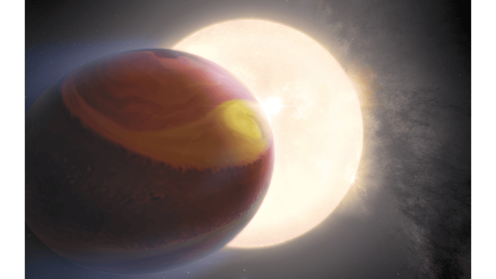 Red Dwarf Vs Yellow Dwarf: Unveiling the Cosmic Clash - Best Wildlife ...