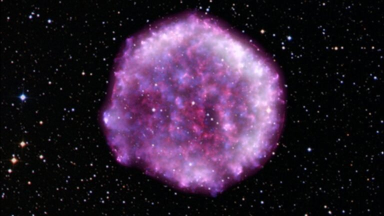 Supernova Vs Nebula : Exploring the Cosmic Clash - Best Wildlife Cameras
