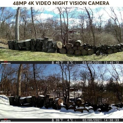 7 Best Motion-Activated Wildlife Cameras: Top Picks 2026 - Best ...