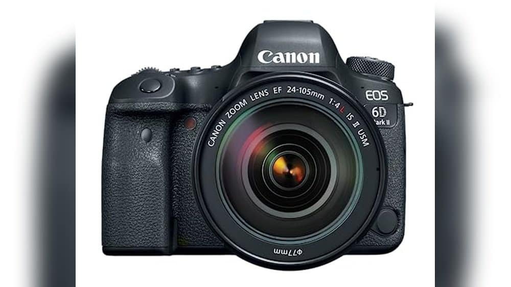 8 Best DSLR Cameras (2026): Top Picks - BestWildlifeCameras